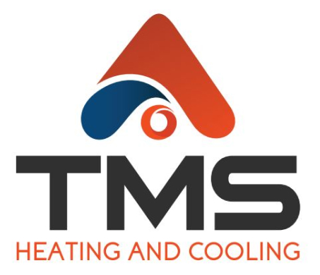 Our Team – TMS
